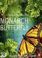 Rent The Incredible Journey of the Monarch Butterfly (aka Flight of the ...