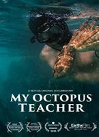 My Octopus Teacher (2020) film | CinemaParadiso.co.uk