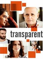 Transparent: Series 2 (2015) | CinemaParadiso.co.uk