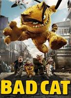 Bad Cat (aka Kötü Kedi Serafettin) (2016) film | CinemaParadiso.co.uk
